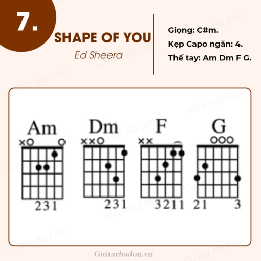 12 bài hát 4 hợp âm dành cho người học guitar cơ bản - Đàn Guitar